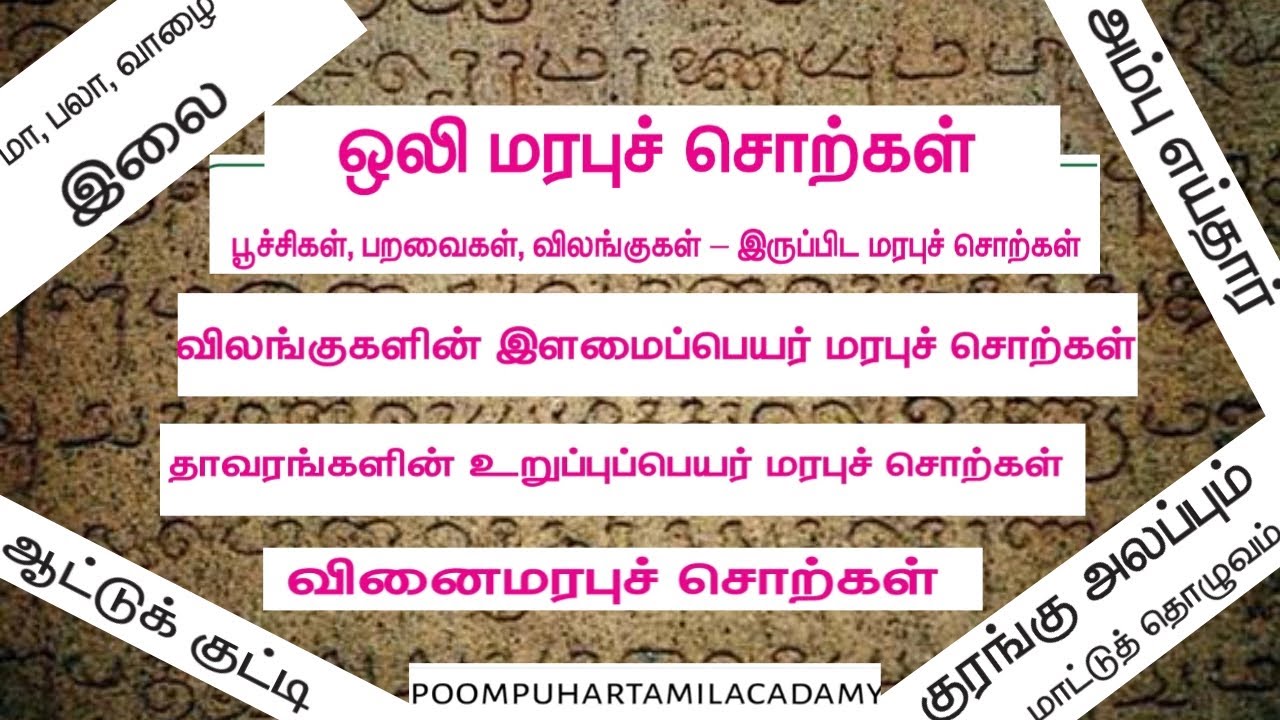 5th Standard Tamil YouTube 5th-standard-tamil-youtube