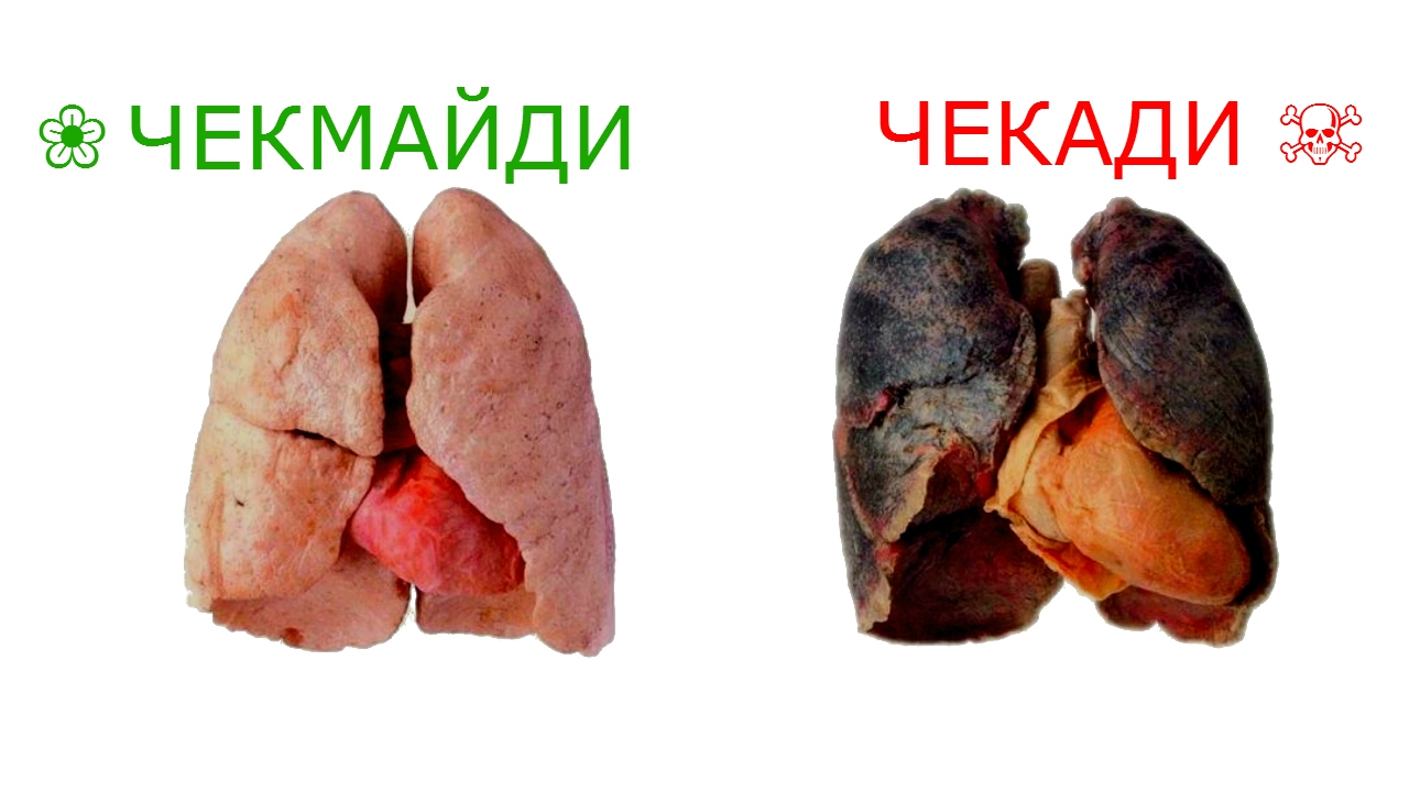 ЧЕКИШНИНГ ЯНГИ ХАВФИ / ЧЕКИШ ХАКИДА / CHEKISH HAQIDA - YouTube