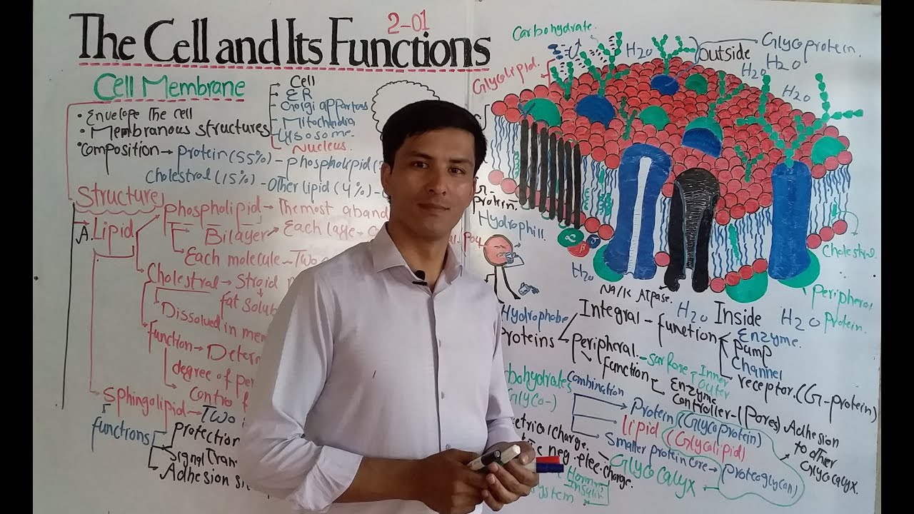 The Cell And Its Function Part01 Cell Membrane حجره واعمال آن، غشاء حجروی By Dr Ishaq