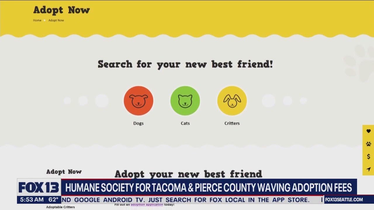 Humane society for Tacoma & Pierce county waiving adoption fees - YouTube