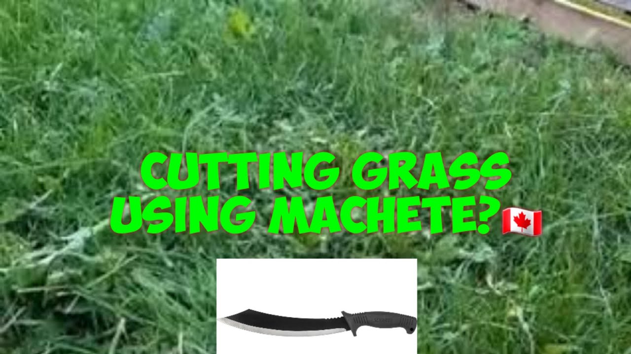 CUTTING GRASS @ MY BACKYARD USING MACHETE - YouTube
