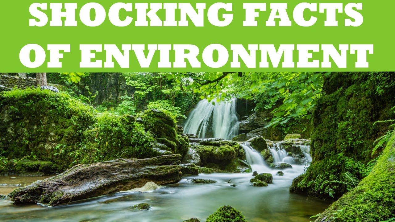 Shocking Facts About Environment Only 2 Of People Know About YouTube shocking-facts-about-environment-only-2-of-people-know-about-youtube