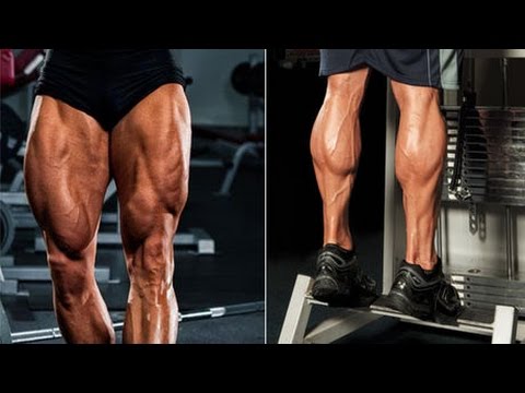 TOP PROGRAMME MUSCULATION GRATUIT : Jambes Mollets Mois 1 - YouTube