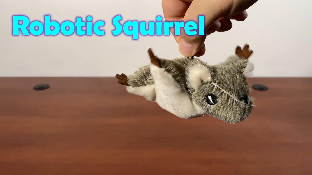Robotic Flying Squirrel for Cats Tested 🐈 Gadgetify - YouTube