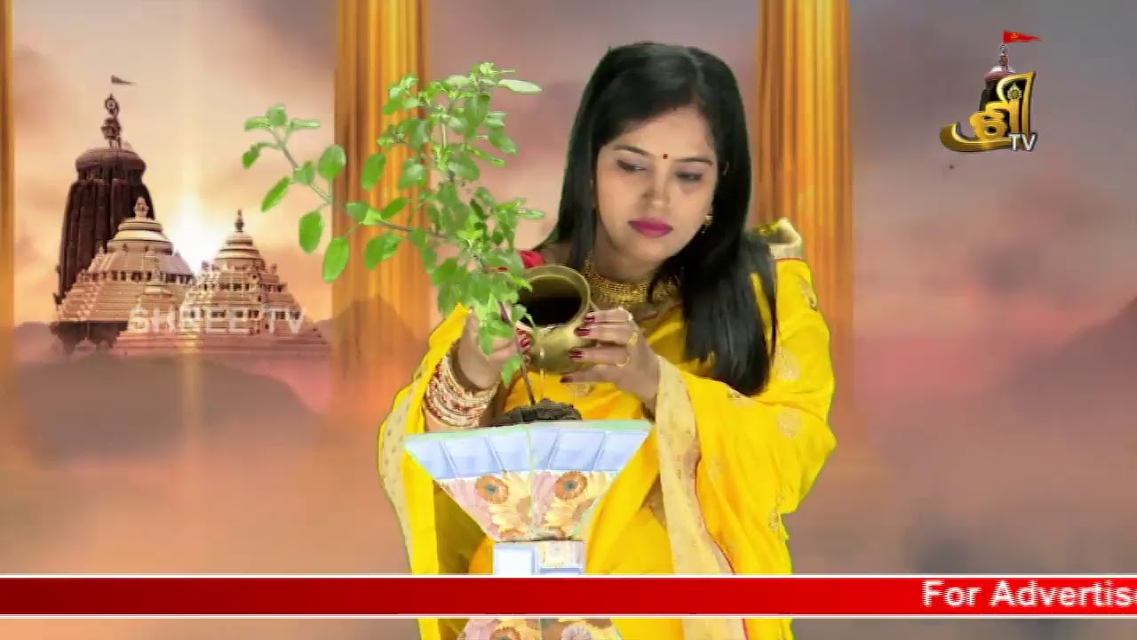 Shree TV Live Stream - YouTube