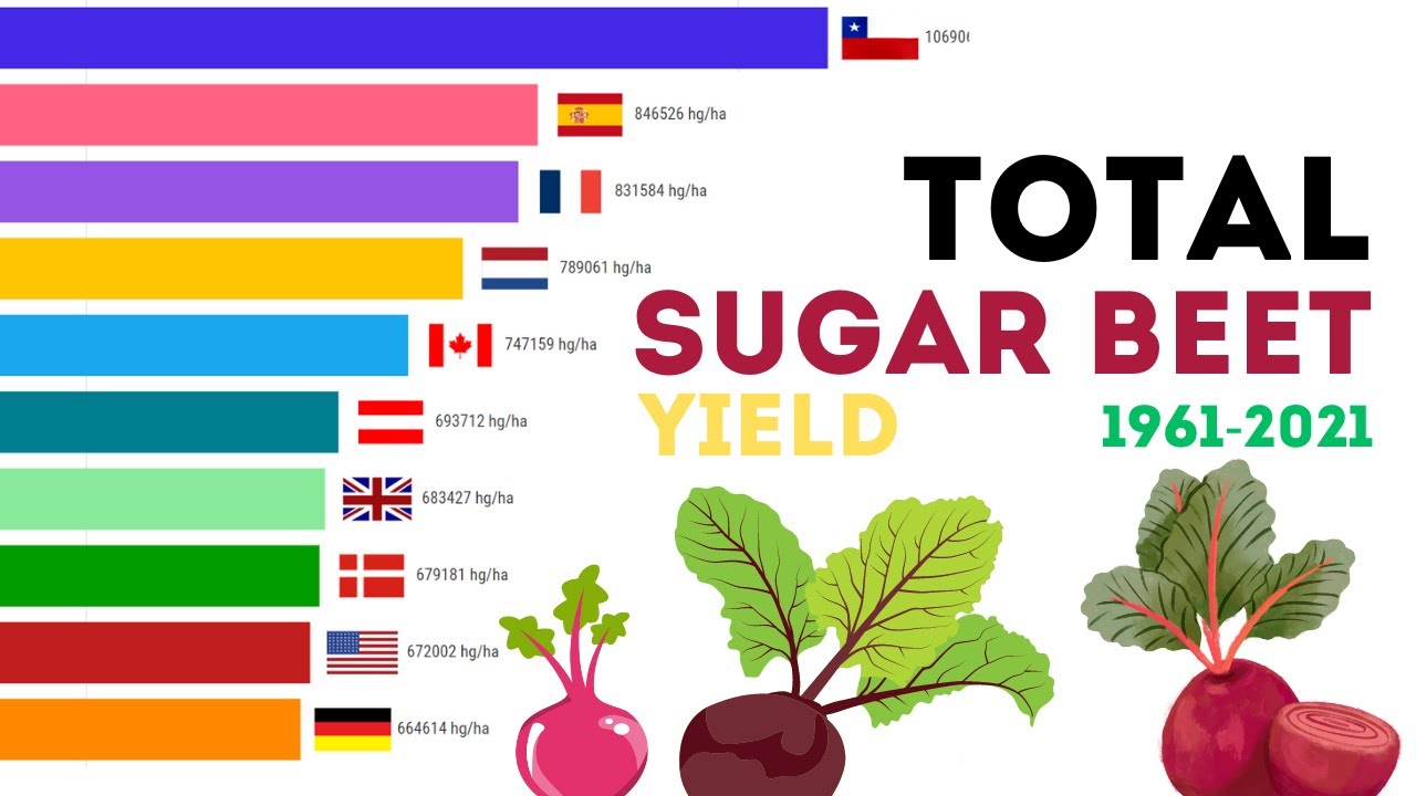 Total Sugar beet Yield 1961-2021 - YouTube