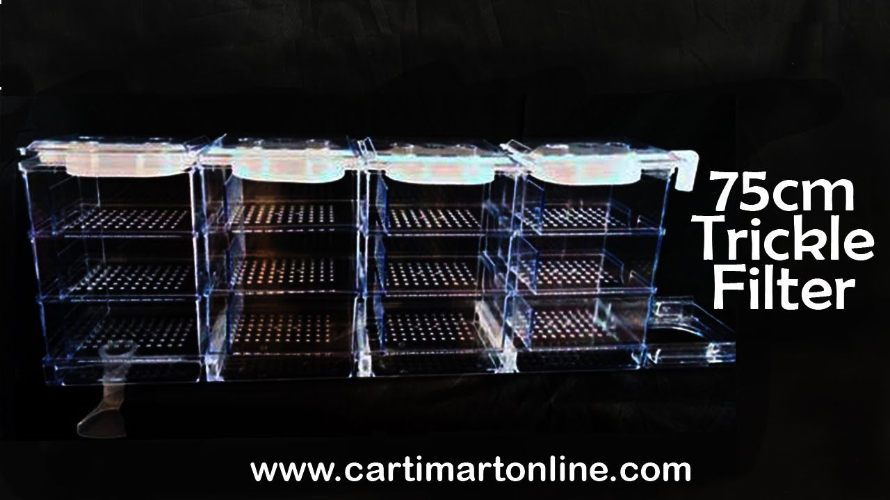 75cm Trickle Filter - YouTube