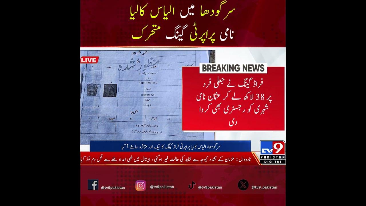 سرگودھا میں الیاس کالیا نامی پراپرٹی گینگ متحرک | TV9 pakistan digital - YouTube