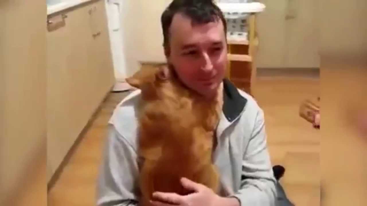 Best Cats in love with their Human cuddle HomeofAnimalsTV - YouTube