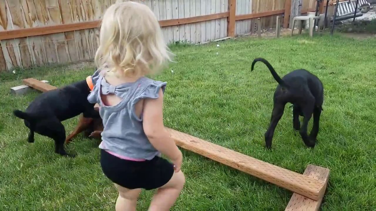 THE AMAZING GYMNAST and her dogs - YouTube