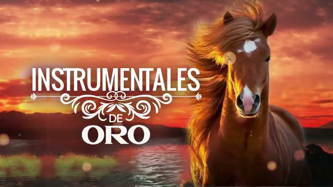 Musica Instrumental de Oro Para Escuchar - 50 Grandes Exitos ...