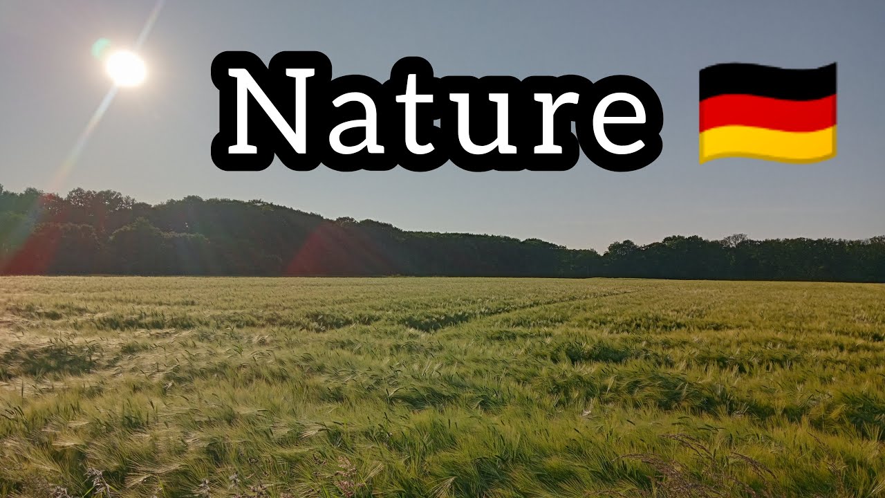 Greener than green with tall and beautiful trees and the sound of birds ...