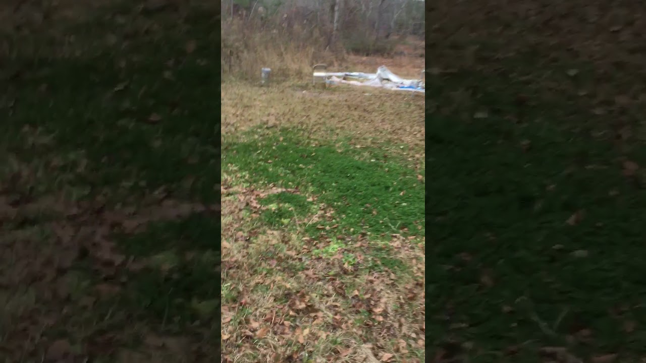 We found mr. never cracker - YouTube