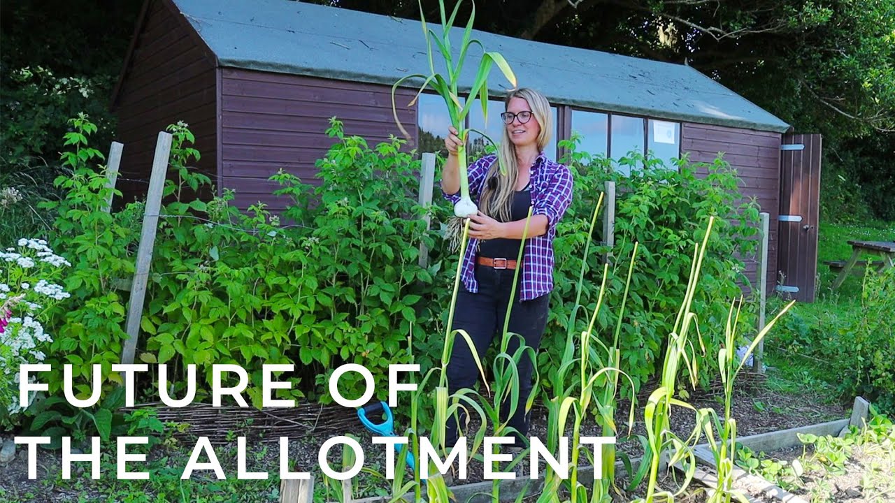 The Allotment in July + Some Big News - YouTube