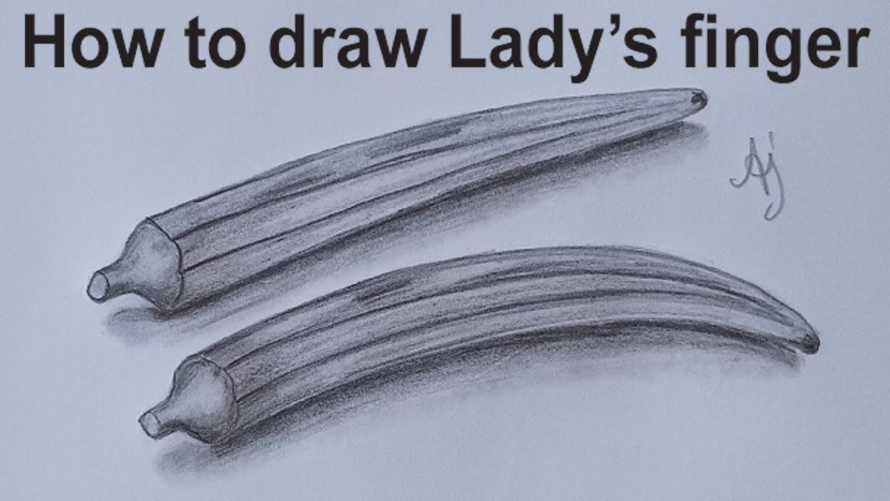 how to draw lady's finger | how to draw ladies finger step by step ...