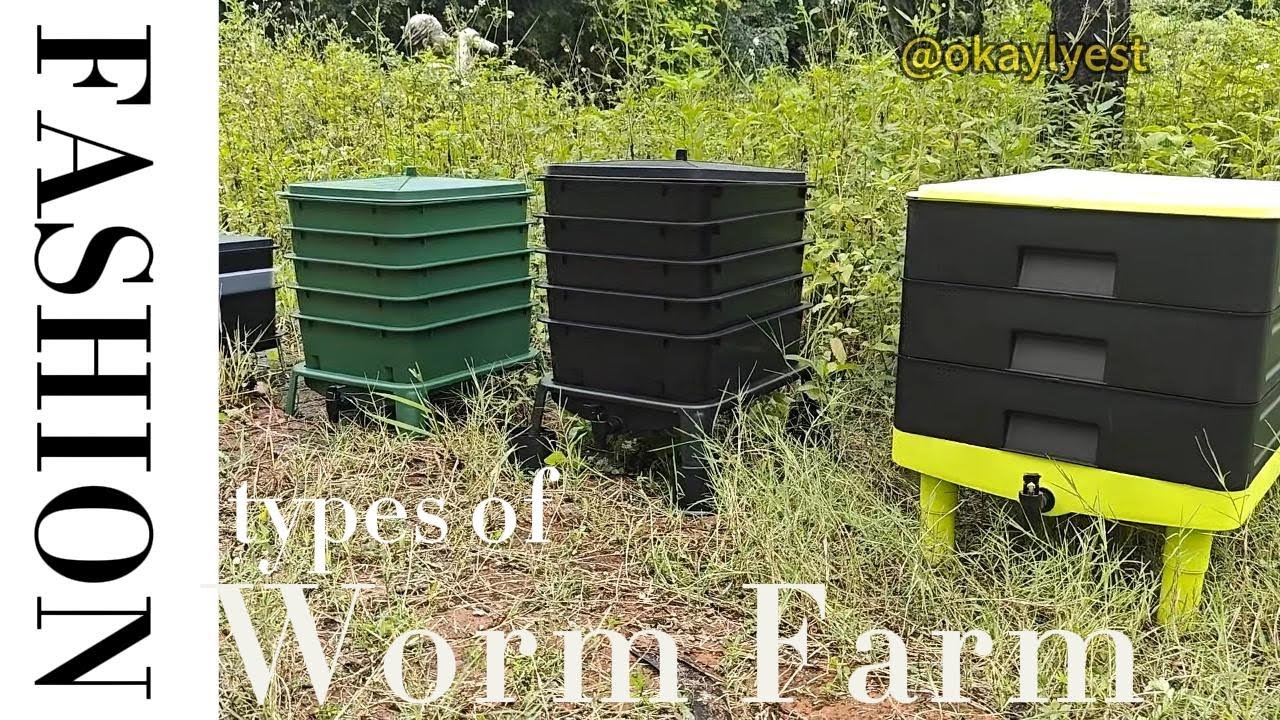 How to choose a suitable worm farm for your live worms? - YouTube