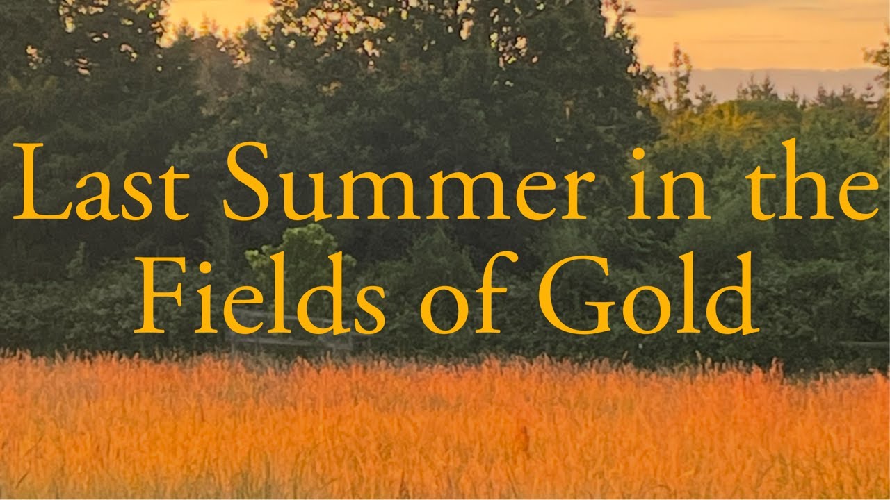 Fields of Gold with Flicks and Merdi Mer - YouTube