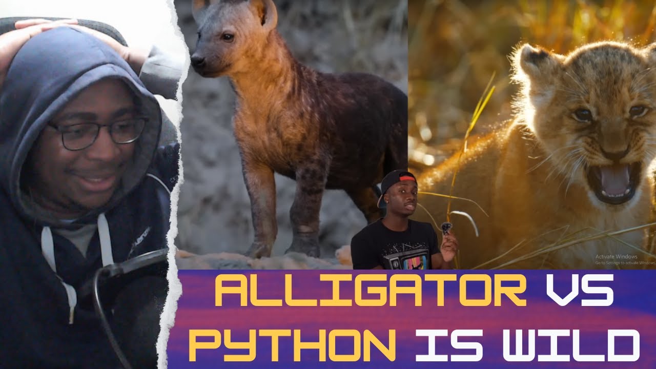 Casual Geographic - The Most Generational Rivalries in the Animal ...