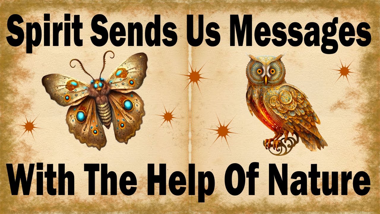 Spiritual Messages from Animals and Insects - Each one has a MESSAGE ...