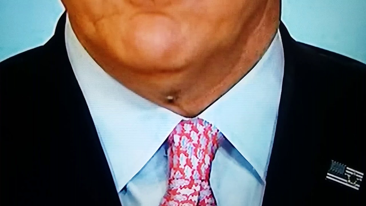 Sean Hannity vs Bug - YouTube