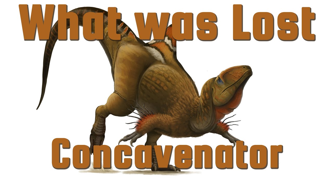 Concavenator - The Humpbacked Dinosaur - What Was Lost Ep.17 - YouTube