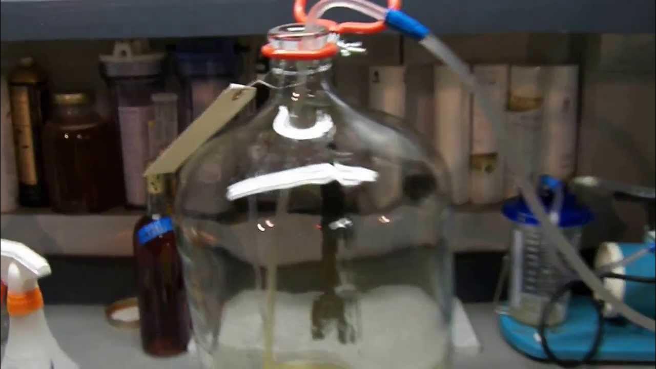 Racking and Degassing Homemade Pineapple Wine - YouTube