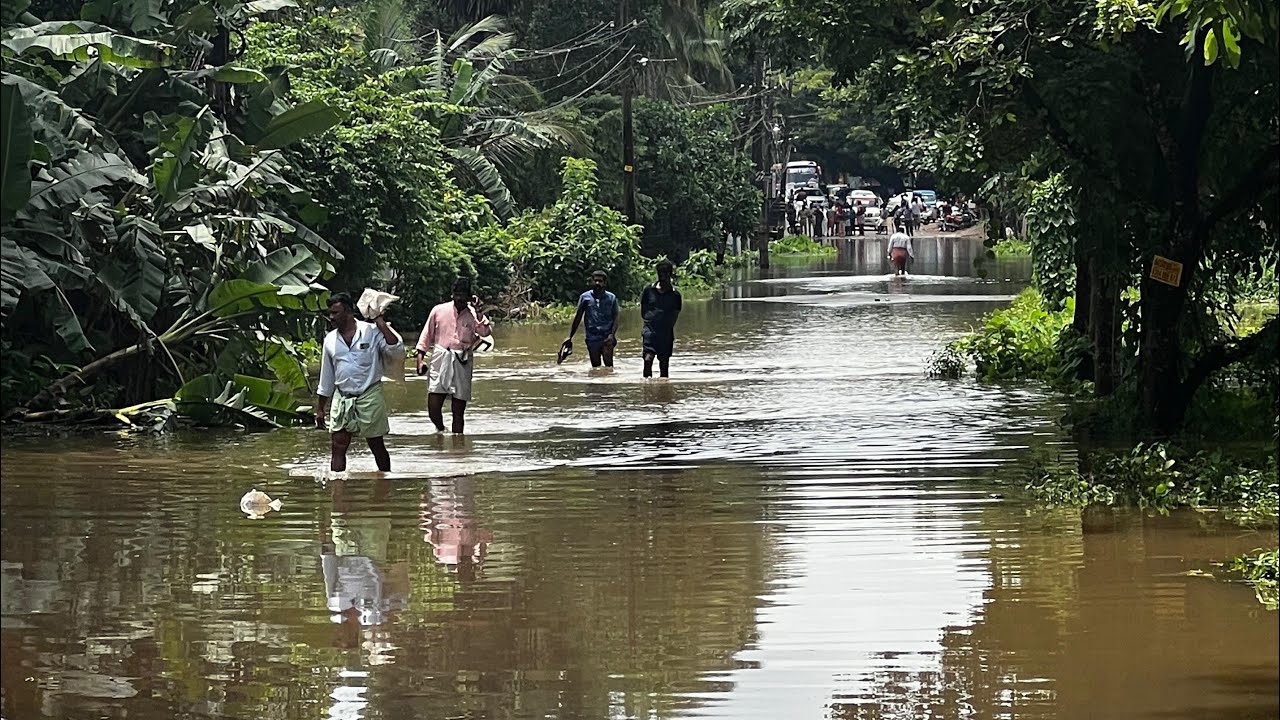 ###daily vlog##🥹velllam kand pedichu🥹trainum kandu 🥹 - YouTube