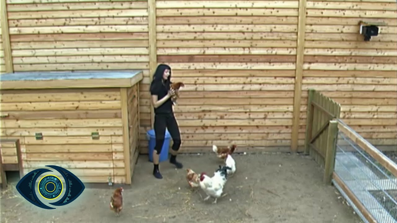 Morgenspaß mit Hanka im Hühnerstall I Tag 46 I Staffel 2 I Big Brother - YouTube