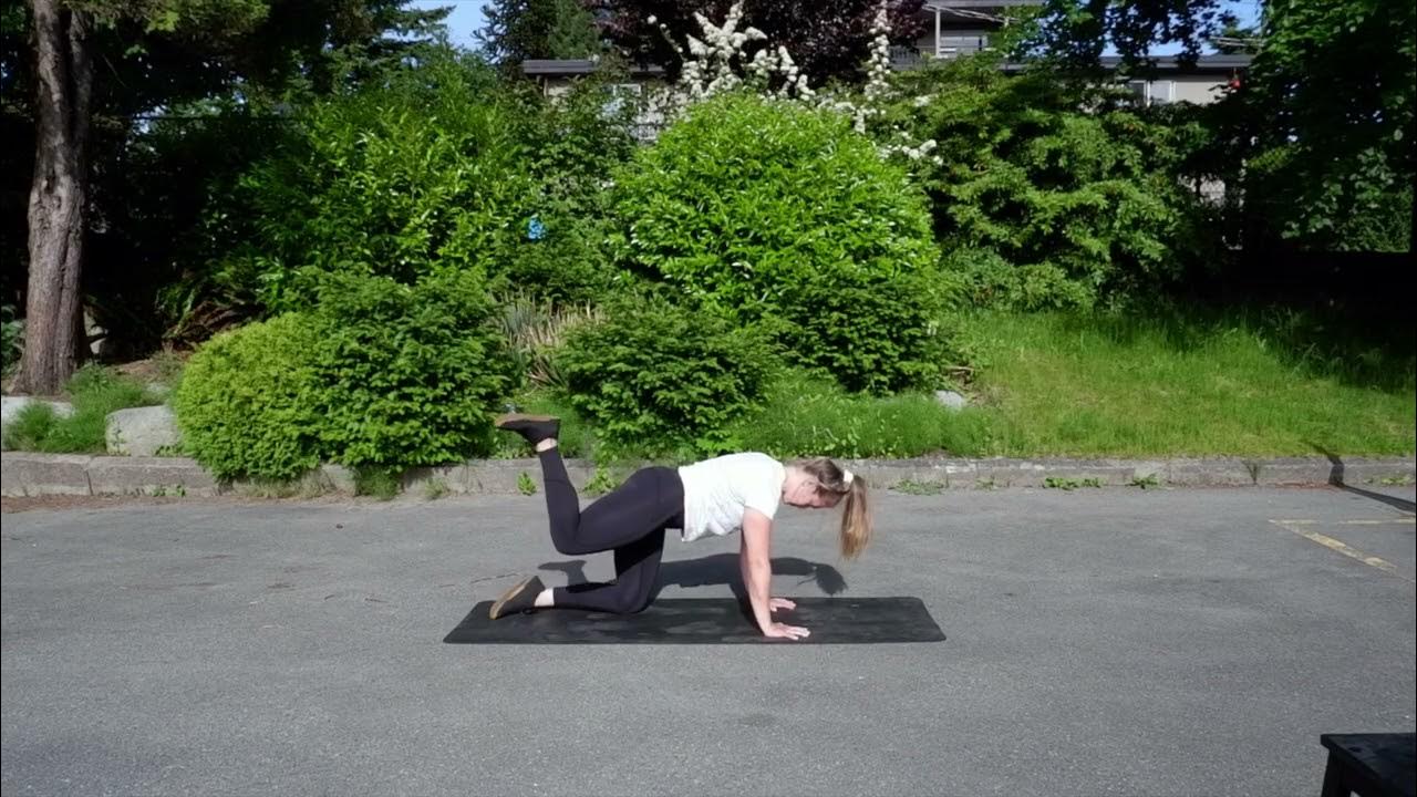 Quadruped Hip CARs - YouTube