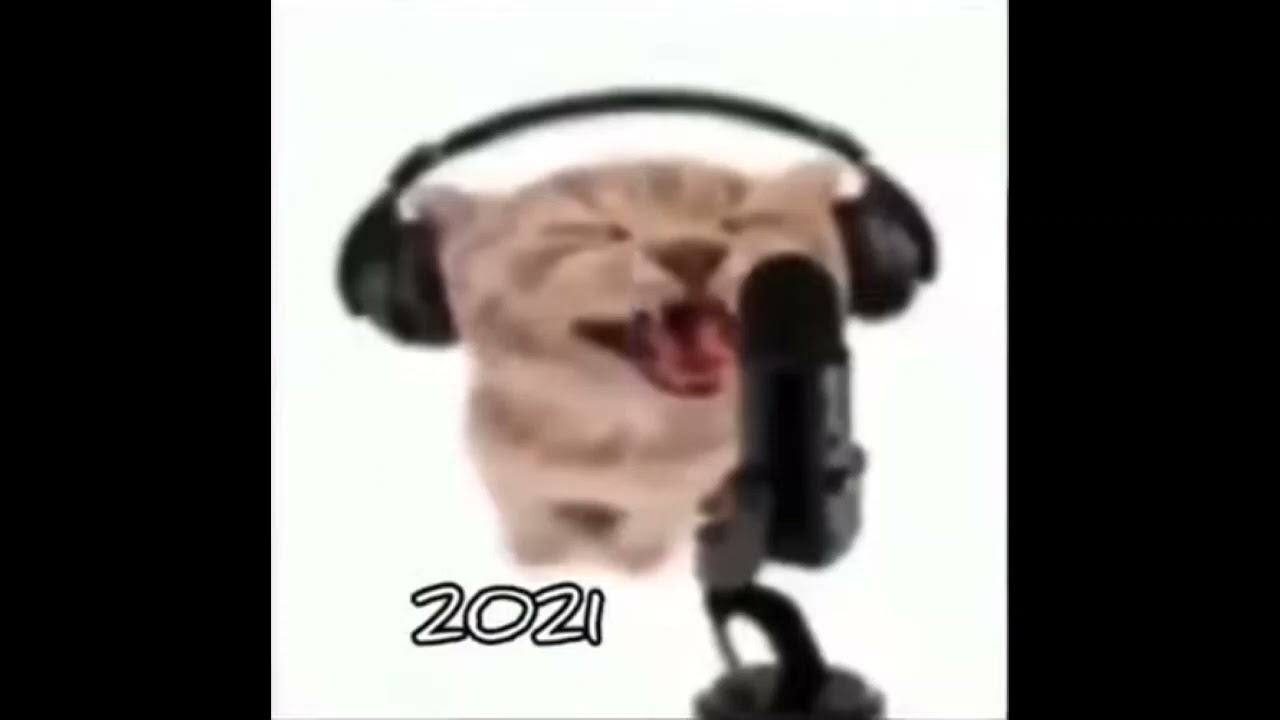 Cat Rap Evolution meme but its just a full version of 2021 - YouTube