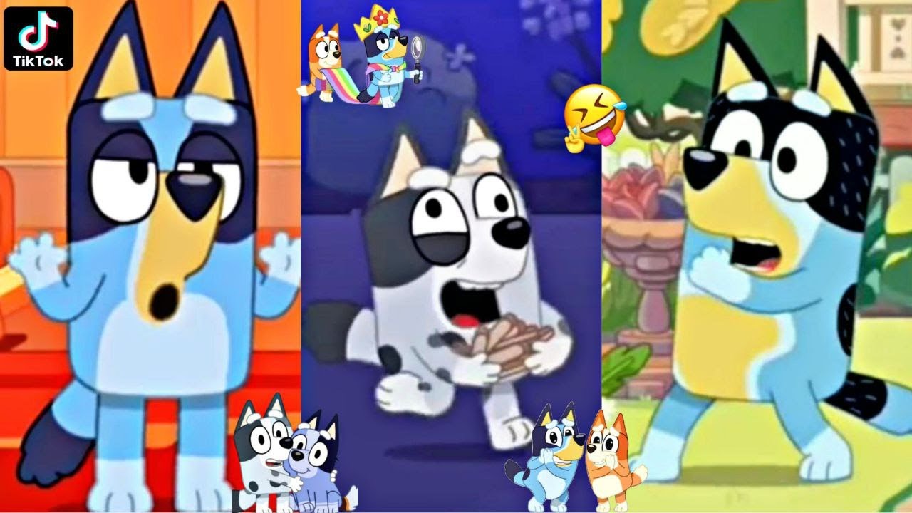 🎈 BLUEY - Best Funny Memes / TikTok Compilation #20 🎈 - YouTube