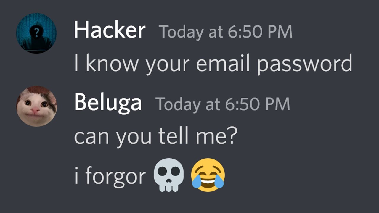 Beluga Meets Hacker... - YouTube