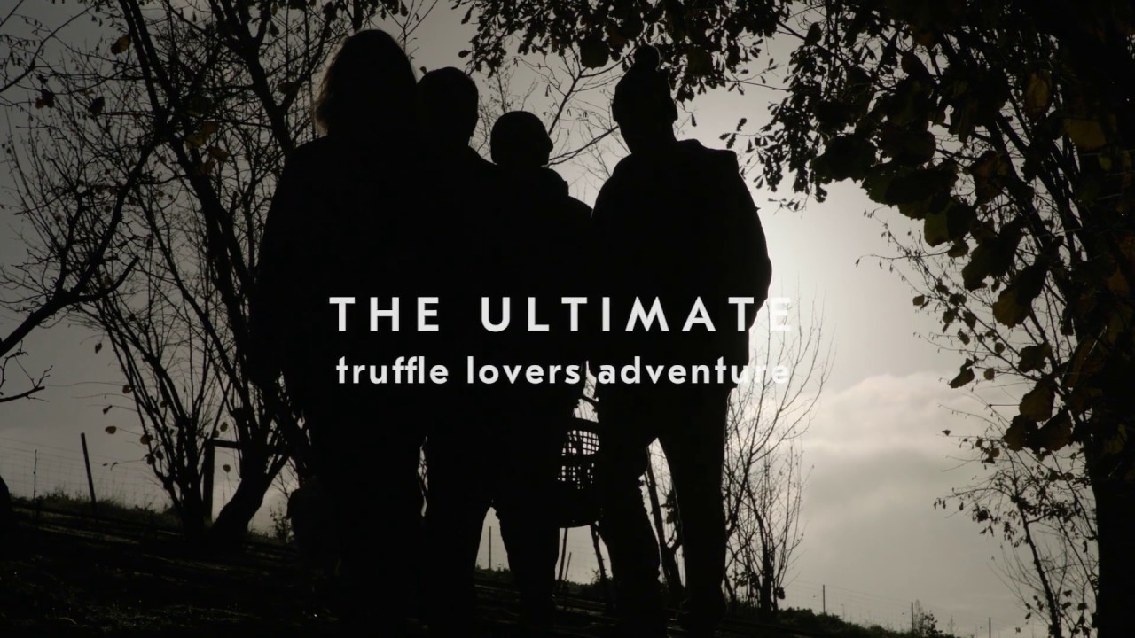 Truffle Kerfuffle Australian Truffle Festival - YouTube