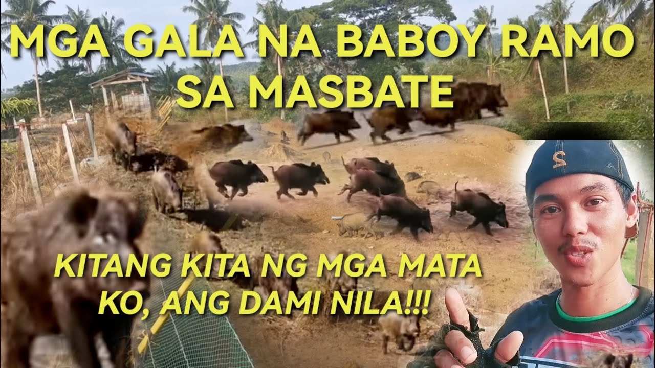 BABOY RAMO SA KALASANGAN HILLS ANG DAMI PALA. - YouTube
