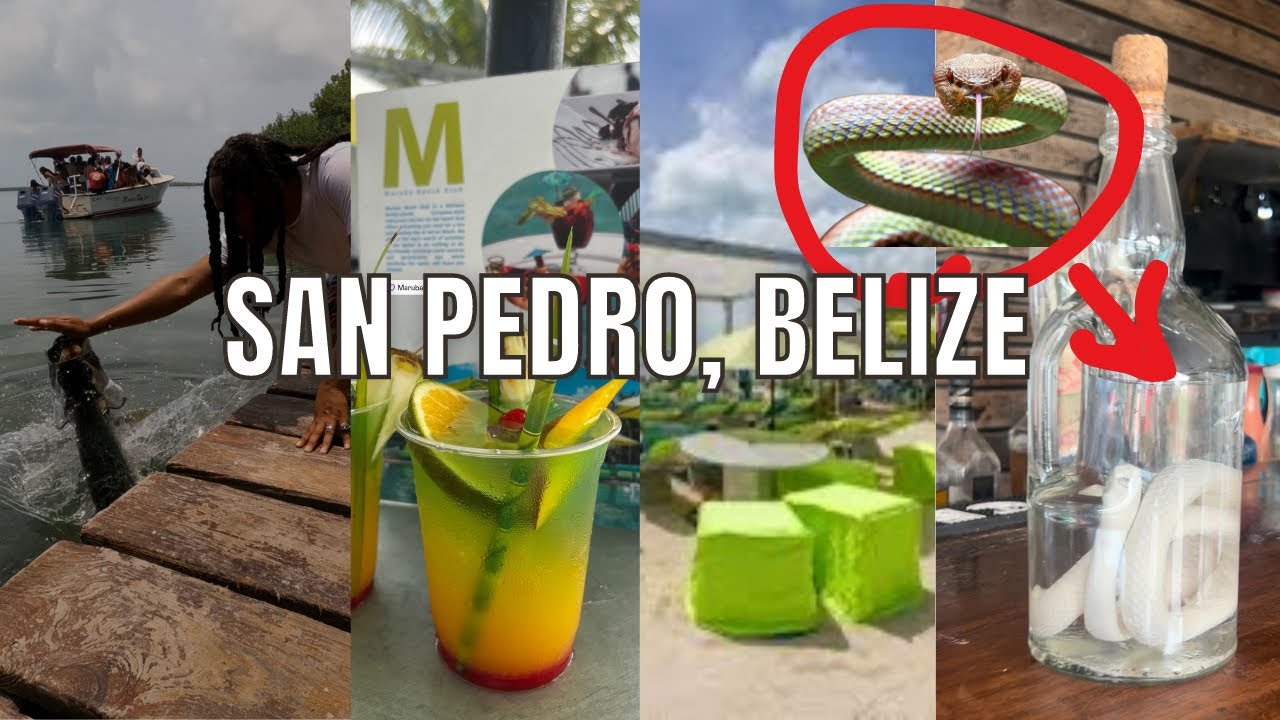 Trying the viper shot in San Pedro Belize and it took me out😐🥹 - YouTube