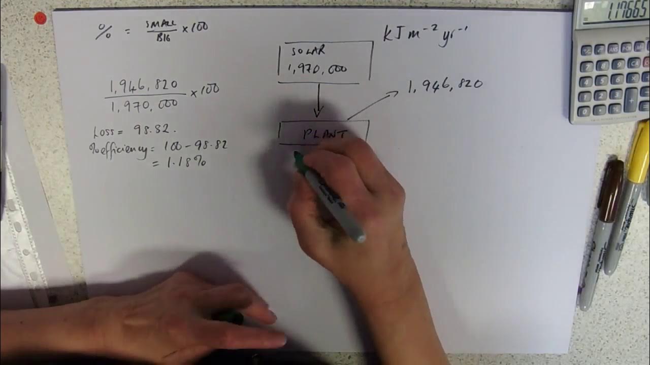 Calculations with energy flow - YouTube