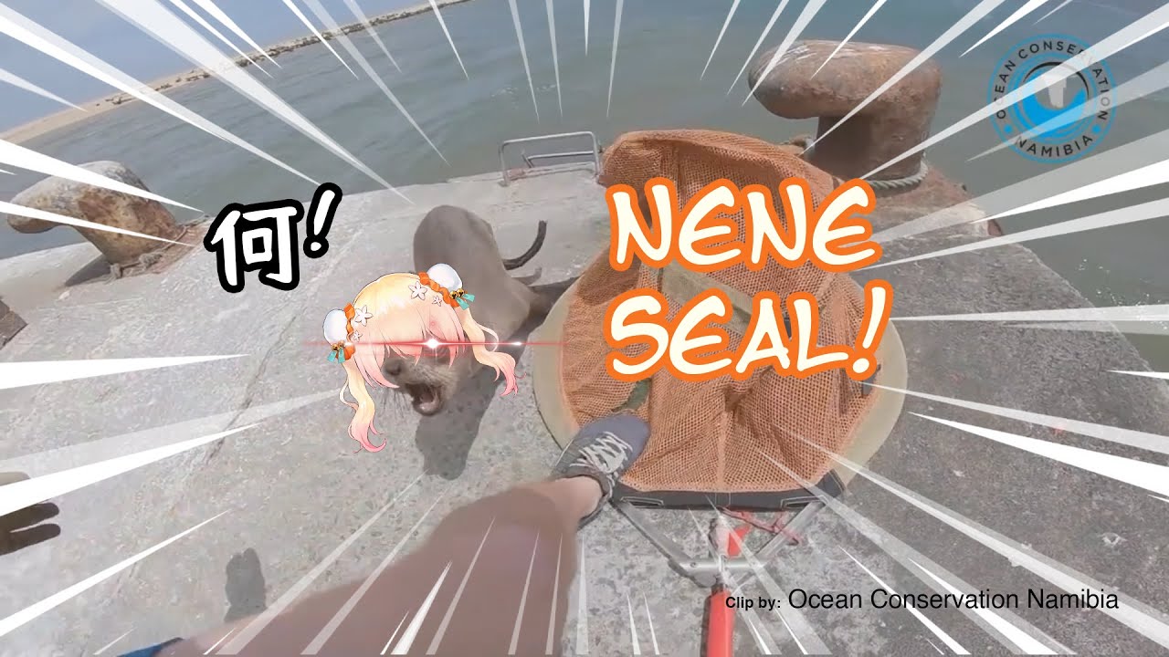 【Vtuber廢片】Free the Nene Seal!【hololive【桃鈴ねね】【MomosuzuNene】【Meme】 - YouTube