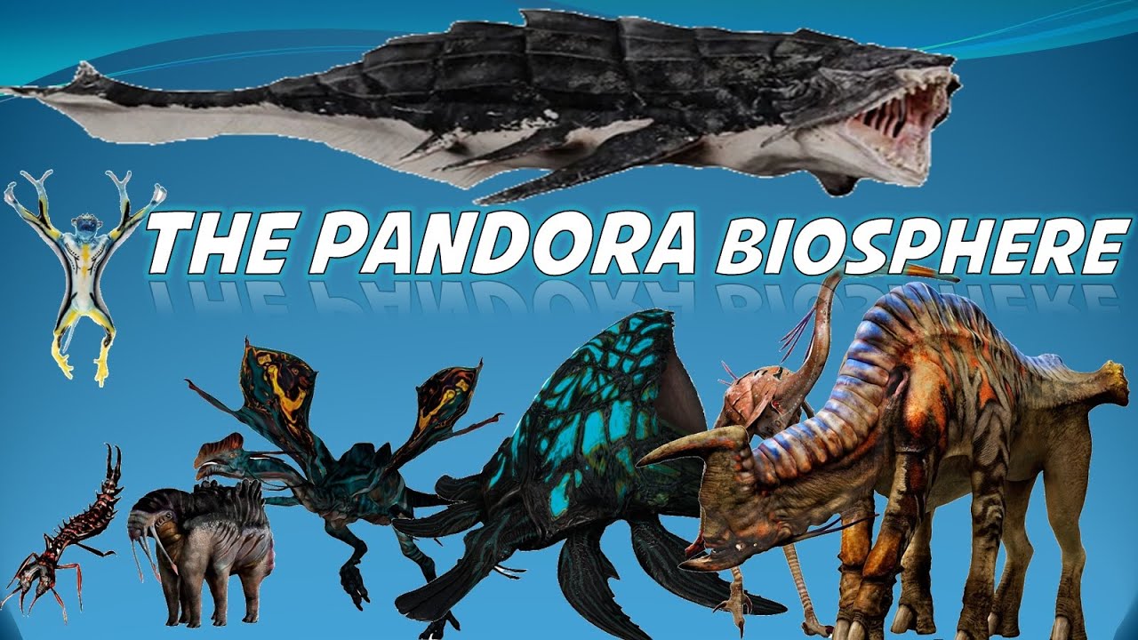 The Pandoran Biosphere - YouTube