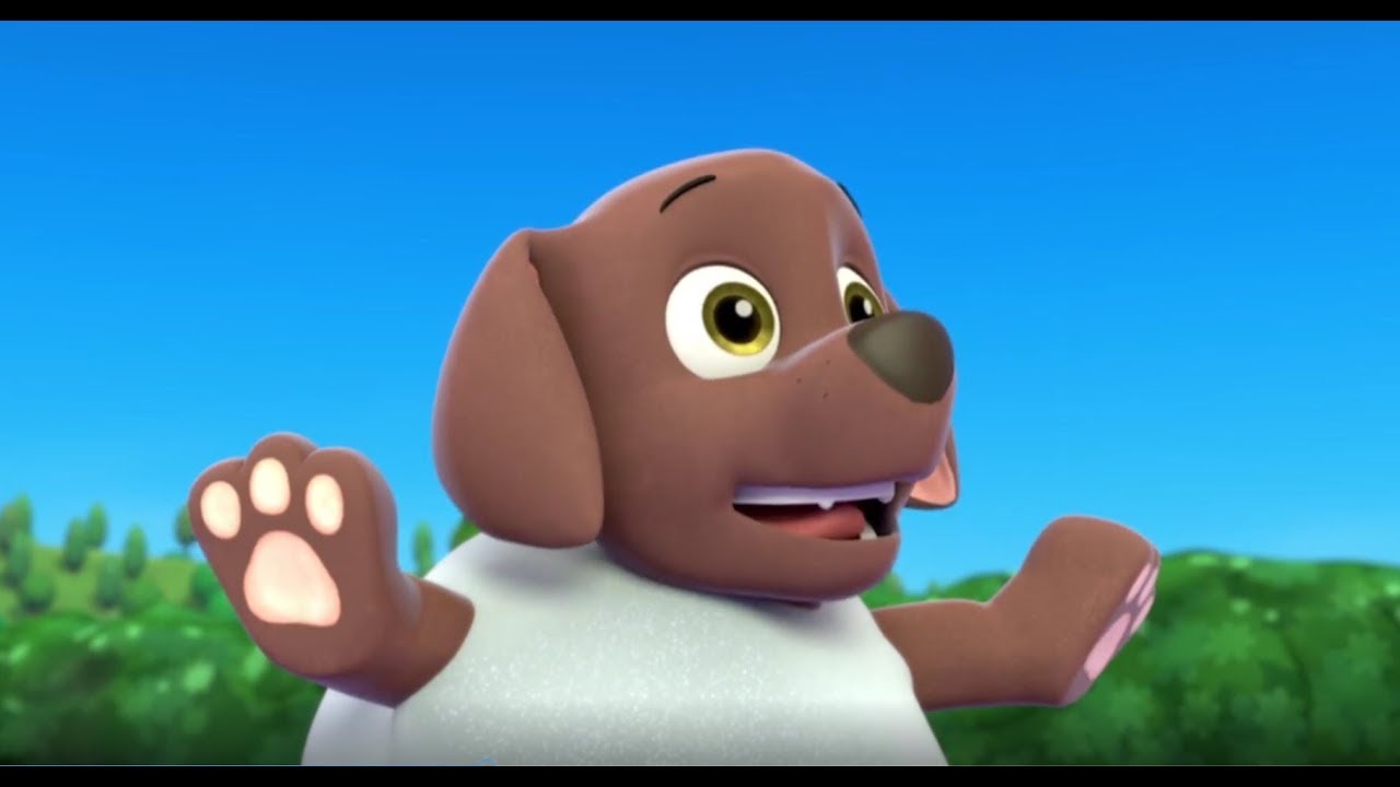 Paw Patrol s01e14 Best Funny Moment Compilations - YouTube