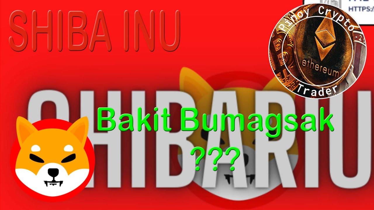 Dahilan Kung bakit Bagsak si Shib | FUD | New Investor | Technical Analysis - YouTube