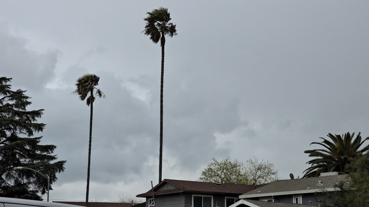 Partly Cloudy NE Winds Becomes Outflow Windy East Winds Shower Arrives ...