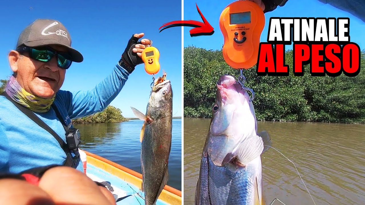 RETO ATINALE al PESO - YouTube