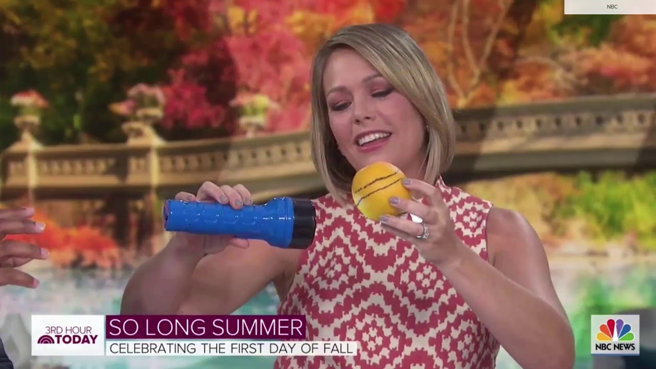 NBC "Today" Meteorologist Dylan Dreyer Explains Fall - YouTube