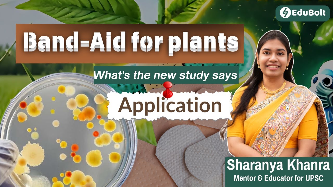 Band-Aid for plants What's the new study says | EduBolt | By Sharanya ...