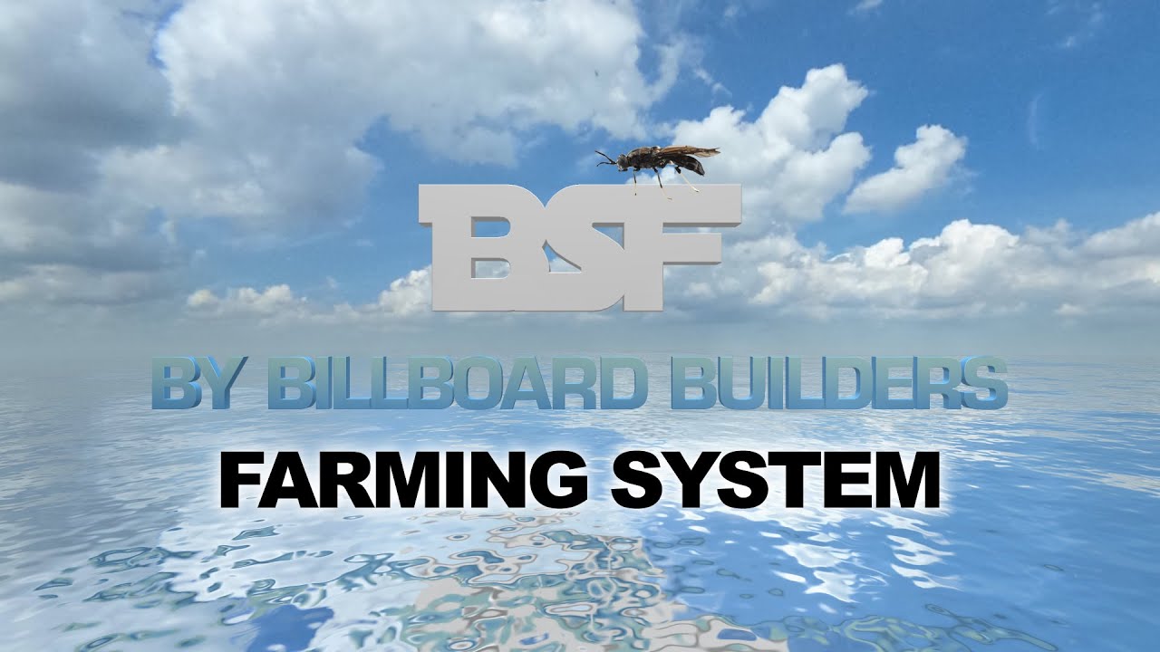 Professional BSF farming, automatic hatching and harvesting systems ...