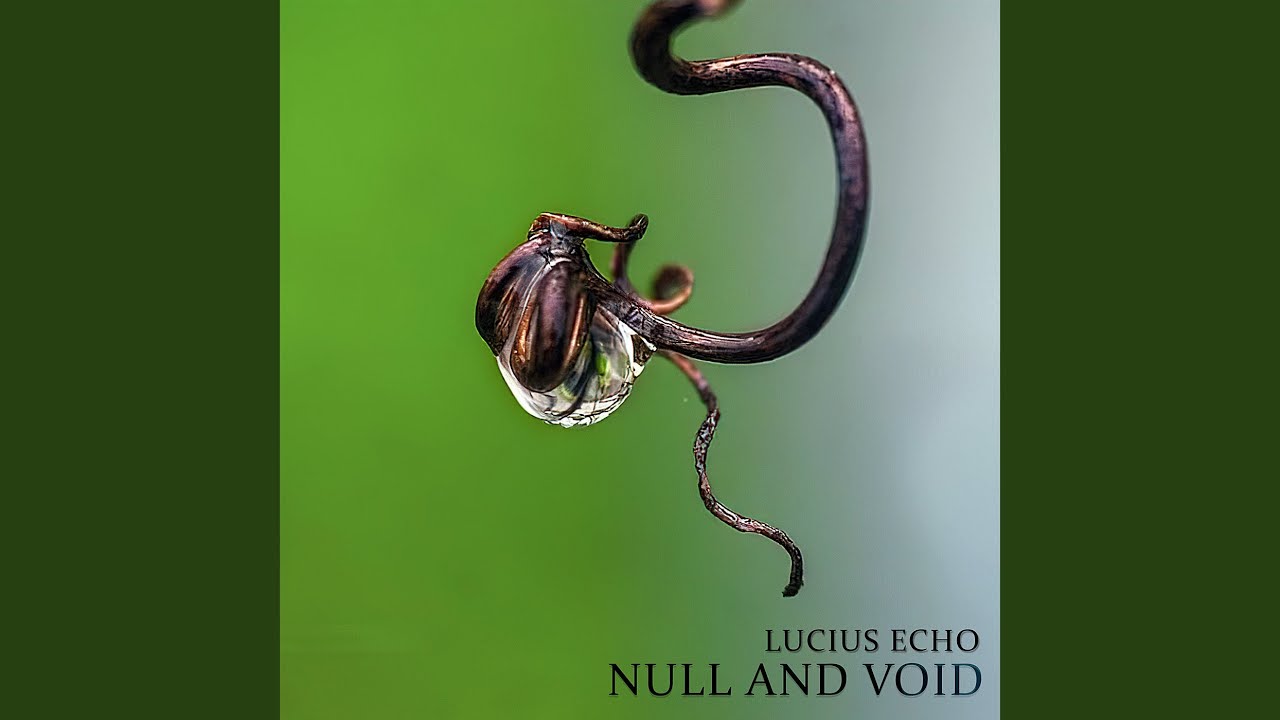 Null And Void YouTube null-and-void-youtube