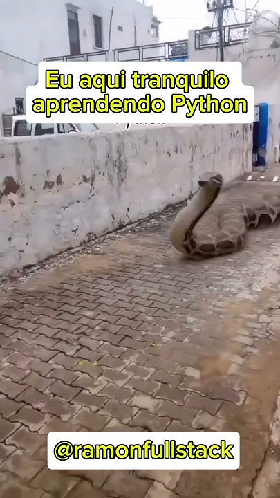 Memes Codingbr Programminglanguage Youtube