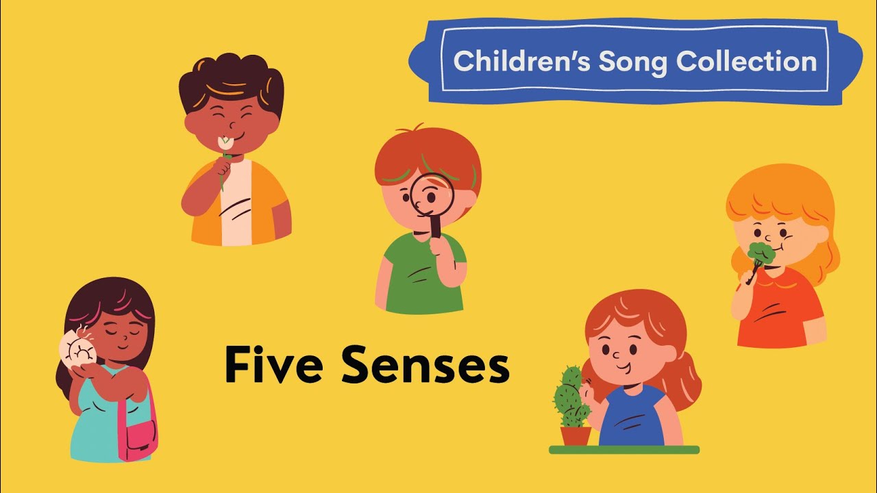 Five Senses Songs for Kids - YouTube