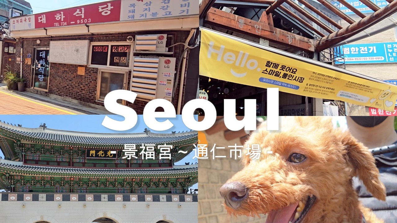 【Marron Family】통인시장 주변과 경복궁으로/서울 거리 산책/通仁市場周辺と景福宮へ/ソウルの街の散歩 2025 06 ...