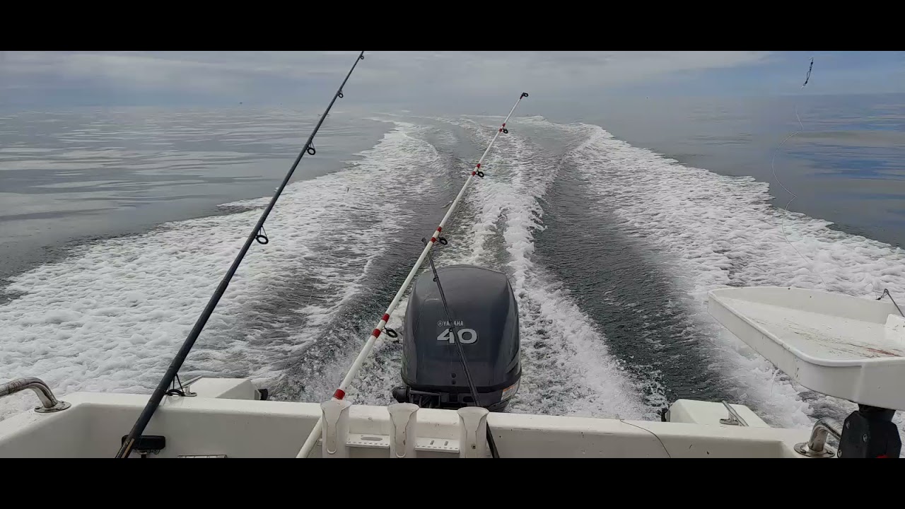 kp 2 fishing seahog - YouTube